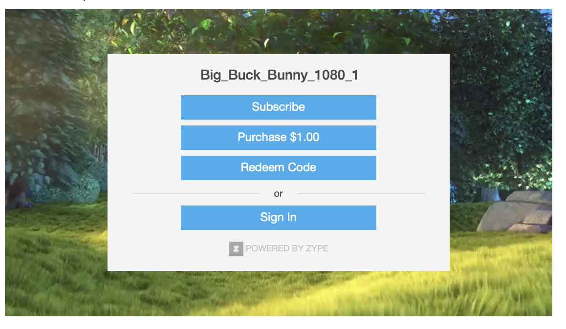 Using Redemption Code Paywalls – Zype